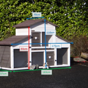 Clapier pour lapin Annemieke